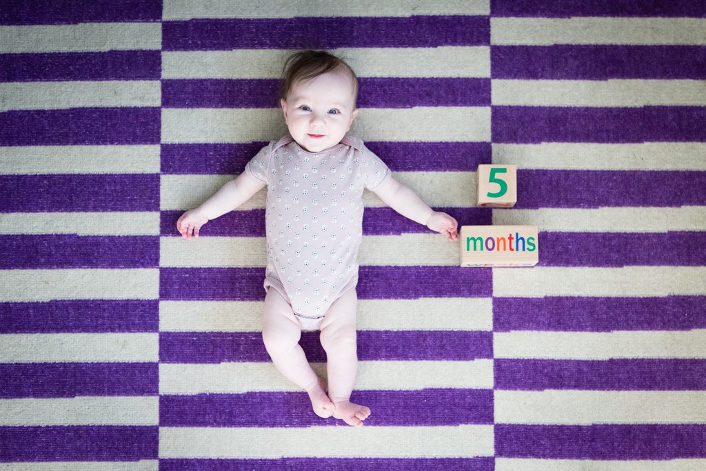 January 2019 Recap | The Three Bite Rule